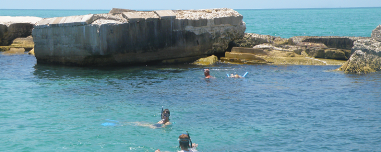 Snorkeling & Egmont Key Trips | YOLO Adventures